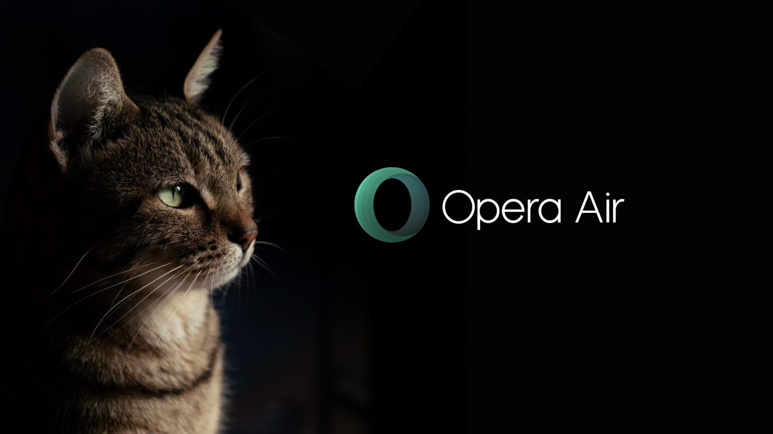 Cats: the ultimate mindful companion - Blog | Opera News