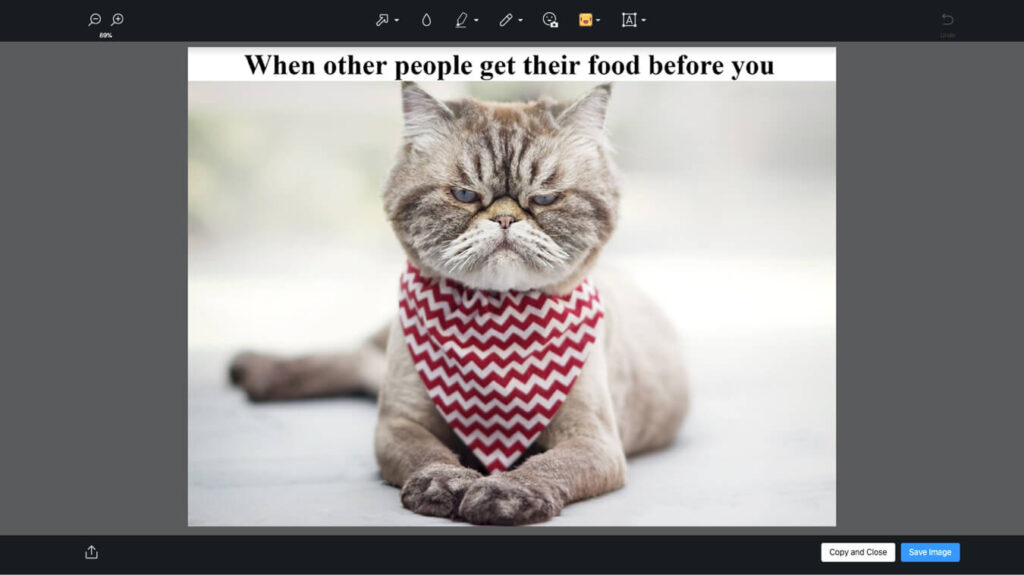 How to make memes with Opera Snapshot tool - Blog | Opera Tips & Tricks